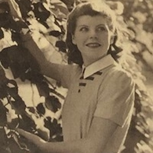 The Single-Owner Collection – Artvisory